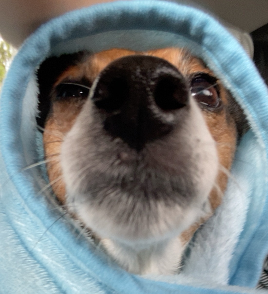 Facts & Instagram 💌